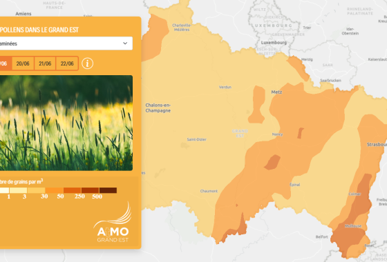 Modélisation | ATMO GrandEst